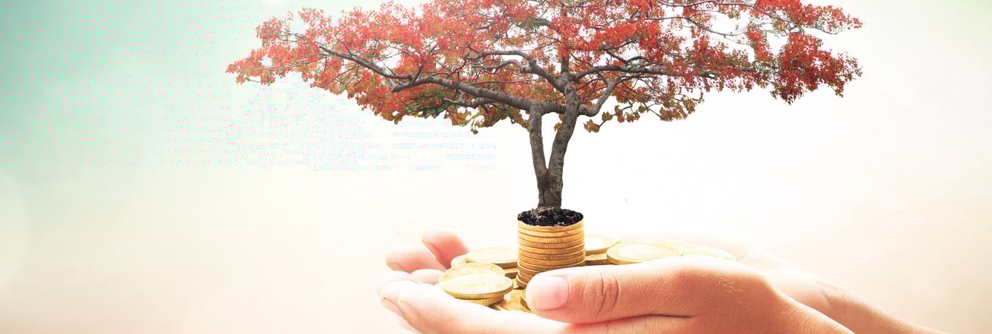 Fundraising Services